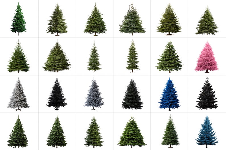 24 Christmas Tree Overlays, PNG Overlays, Fir Trees, Christmas Overlays ...