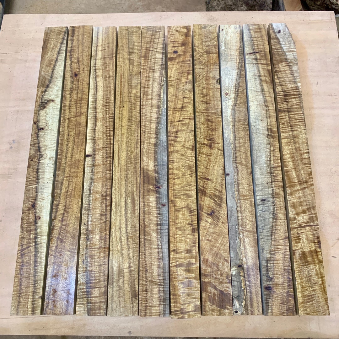 Golden Curly Acacia for Cues Blanks From 1-20 - Etsy