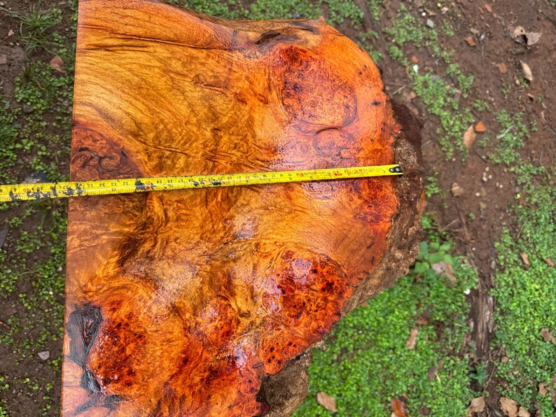 Amboyna Burl Slab for Craft and Hobby | Unique Cutting Board | Rare ...