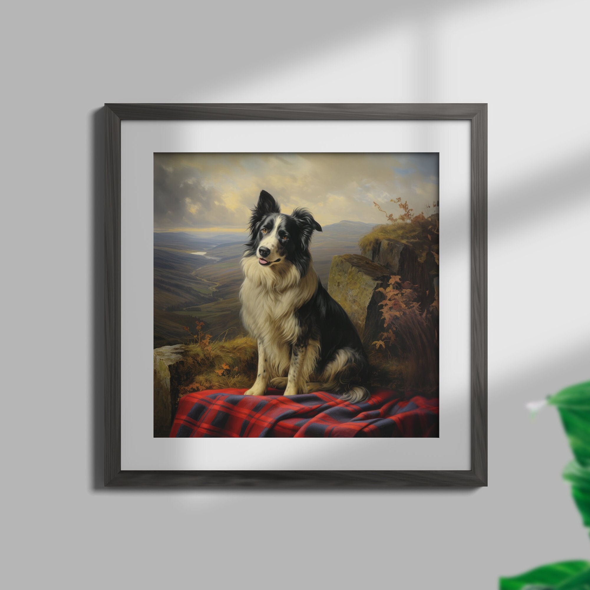 Scottish Border Collie UNFRAMED Wall Art Print in Classical Style ...