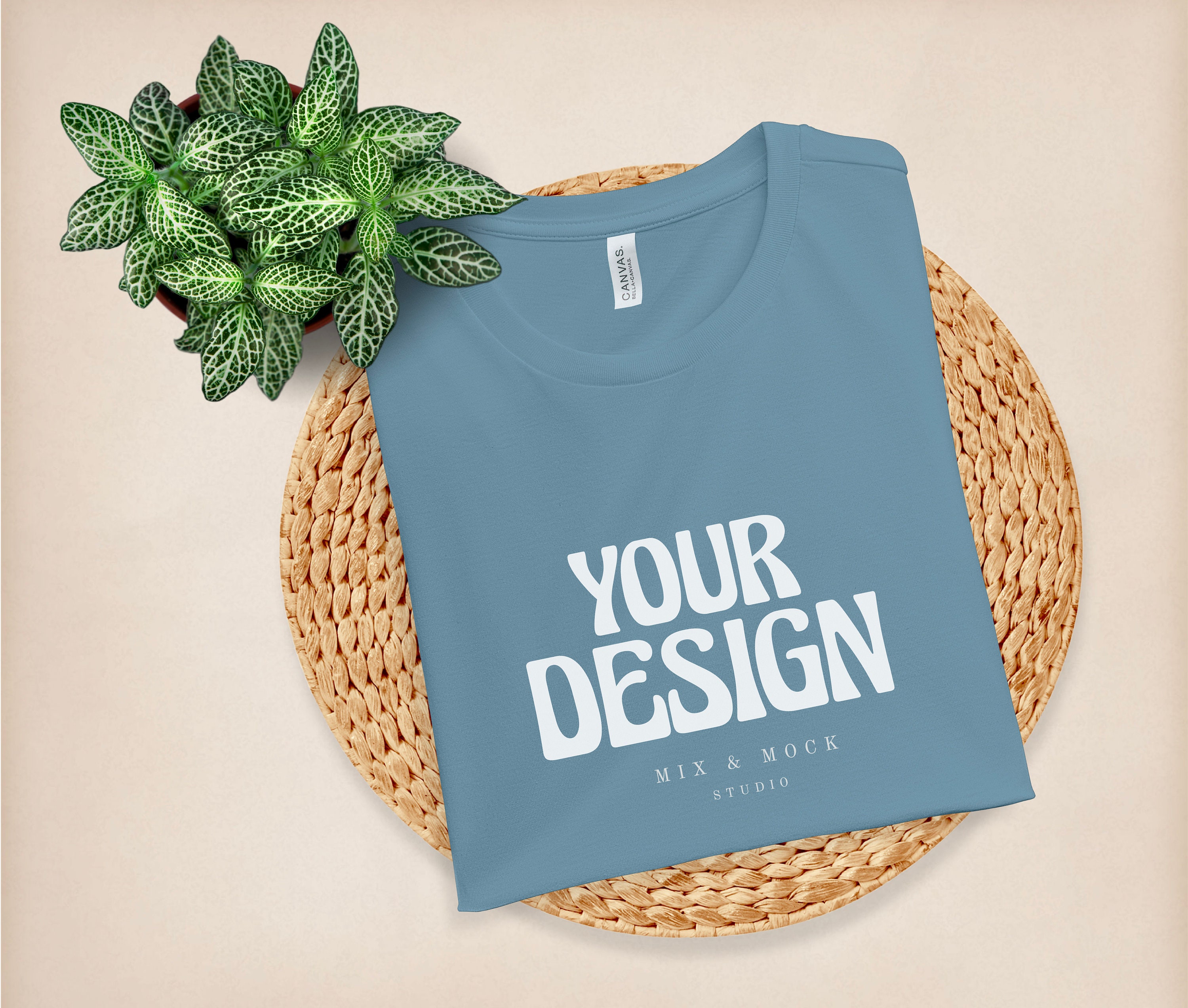 ENTIRE STORE Bundle Whole Shop Mockup Bundle Bella Canvas Bundle T ...