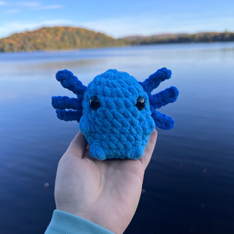 Ax the Axolotl - Etsy