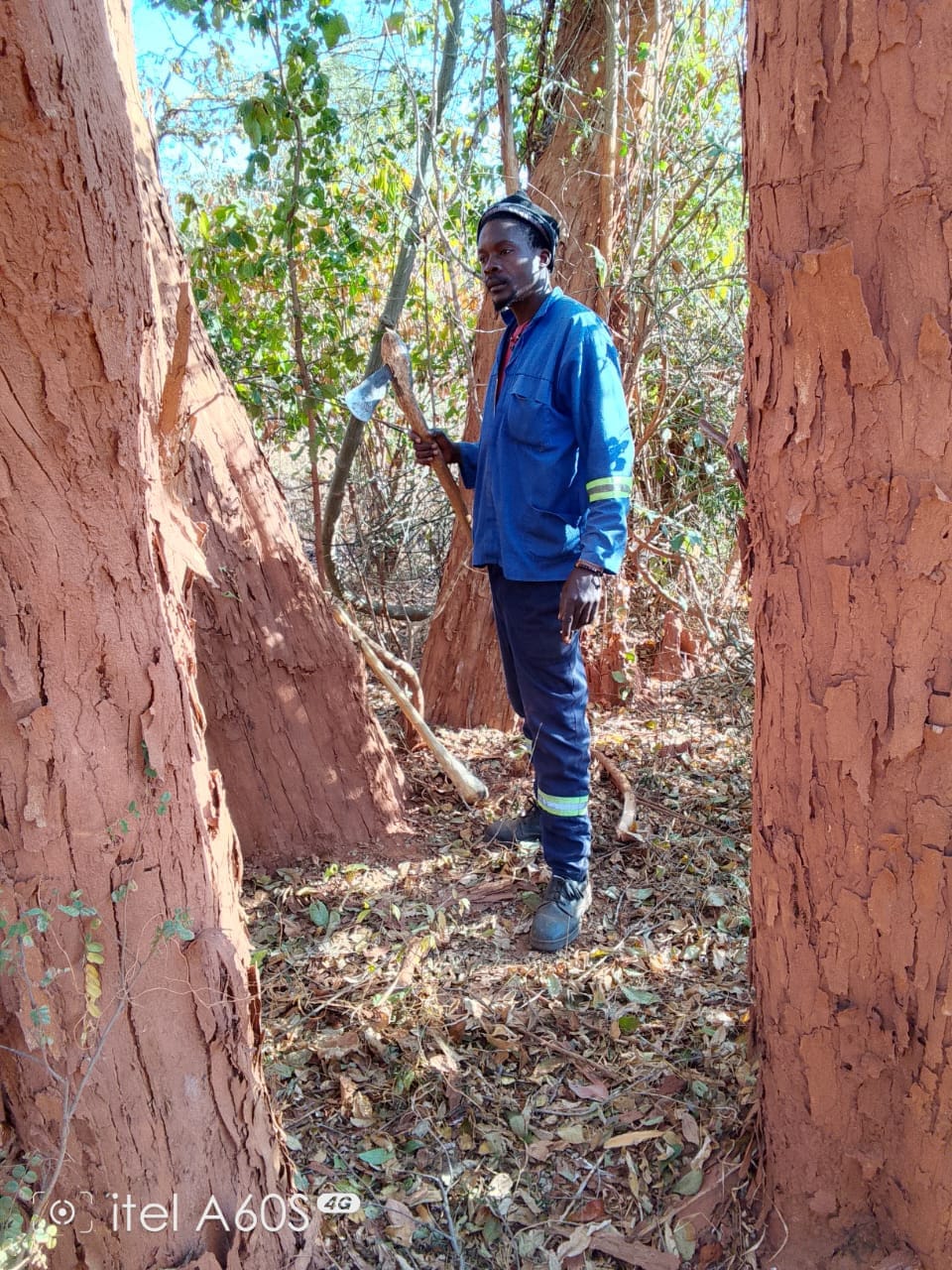 Chic Handmade Compressed Towelette Trays - Etsy