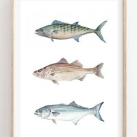Saltwater Fish Print - Etsy