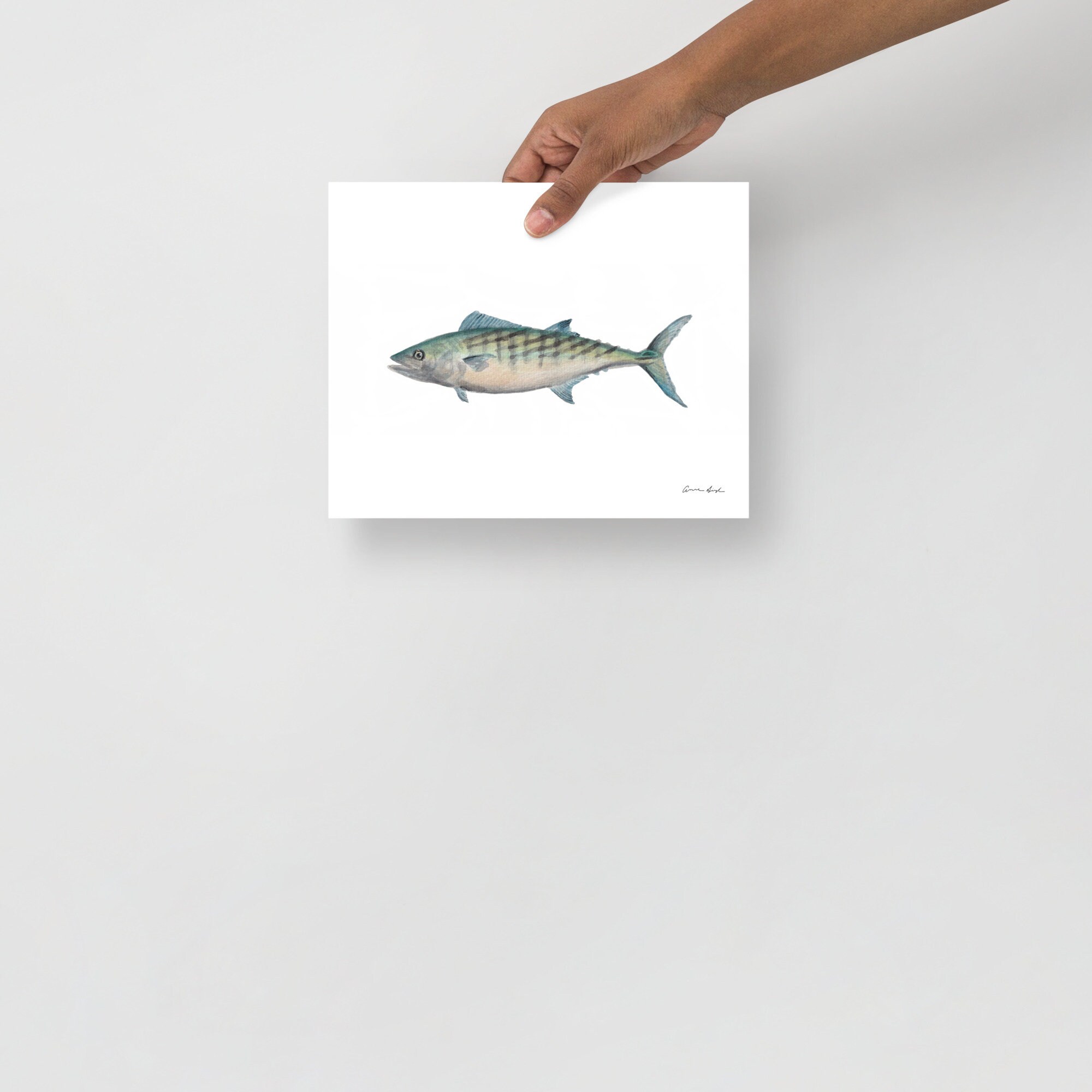 Atlantic Bonito Fish Watercolor Poster Print - Cape Cod Massachusetts ...