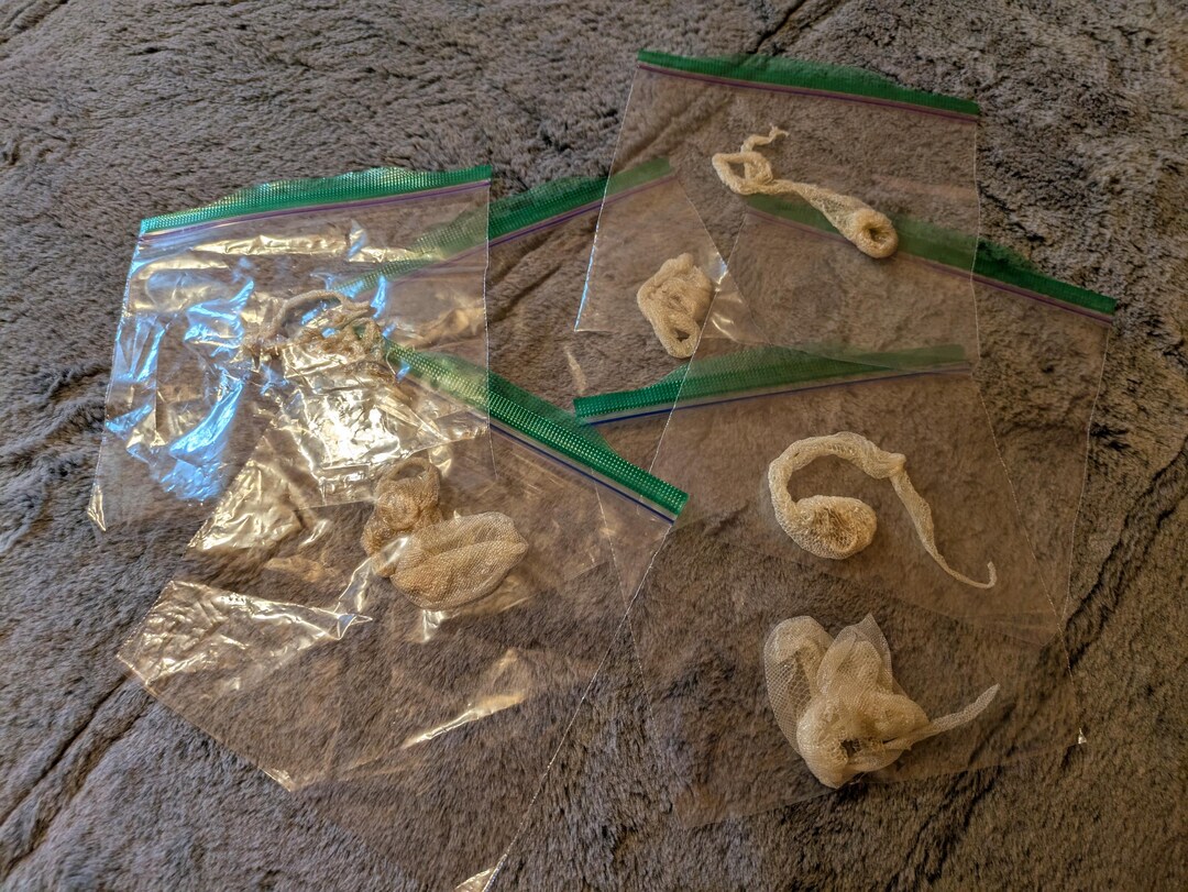 Baby Ball Python First Shed - Etsy