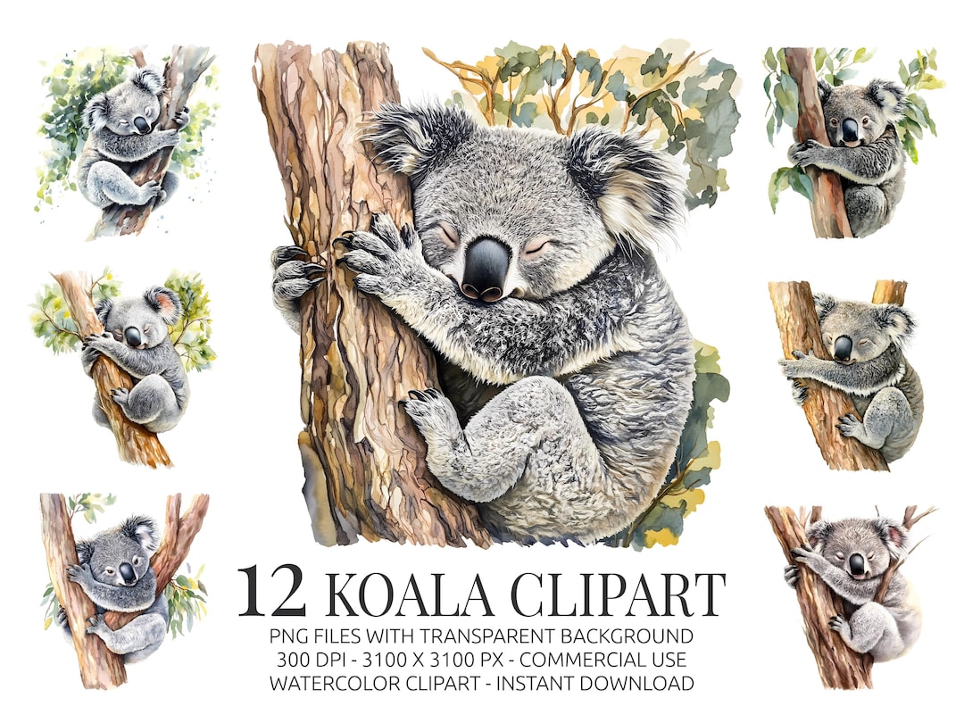 Koala Clipart Set - 12 Adorable Watercolor Pngs of Sleepy Koalas on ...