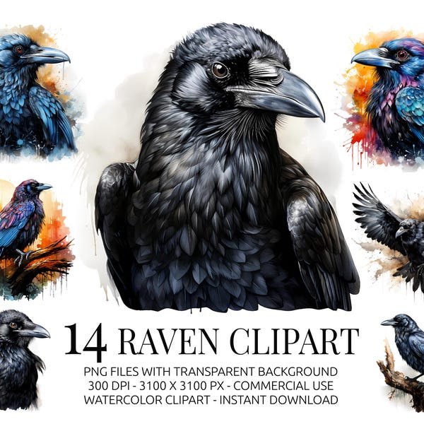 Raven Watercolor - Etsy