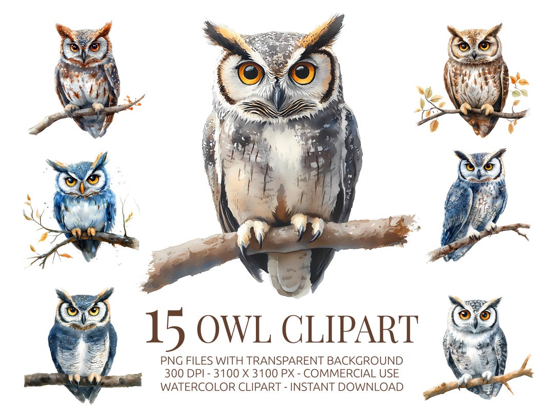 Owl Clipart Set - 15 Watercolor Pngs of Mysterious Forest Owls on ...