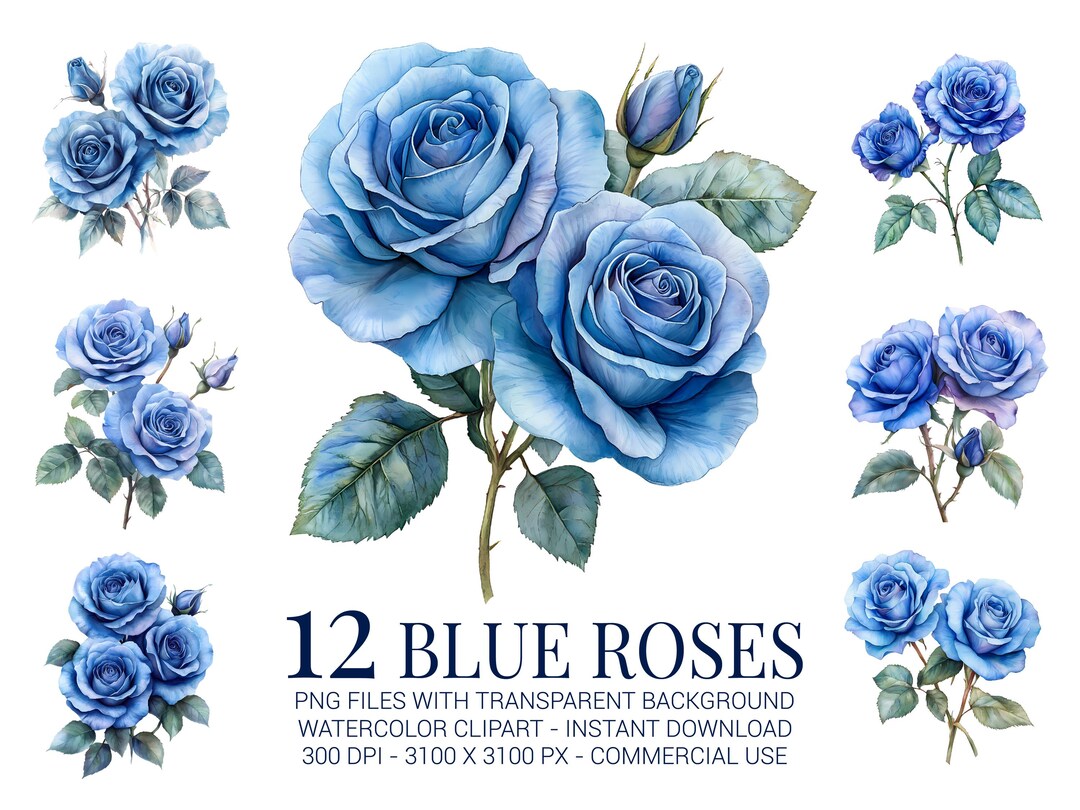 Blue Roses Clipart Set, 12 Watercolor Blue Rose Pngs With Transparent ...