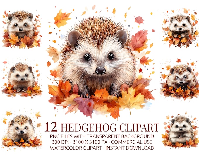 Autumn Hedgehog Clipart Bundle | Fall Woodland Animal Art (digital ...