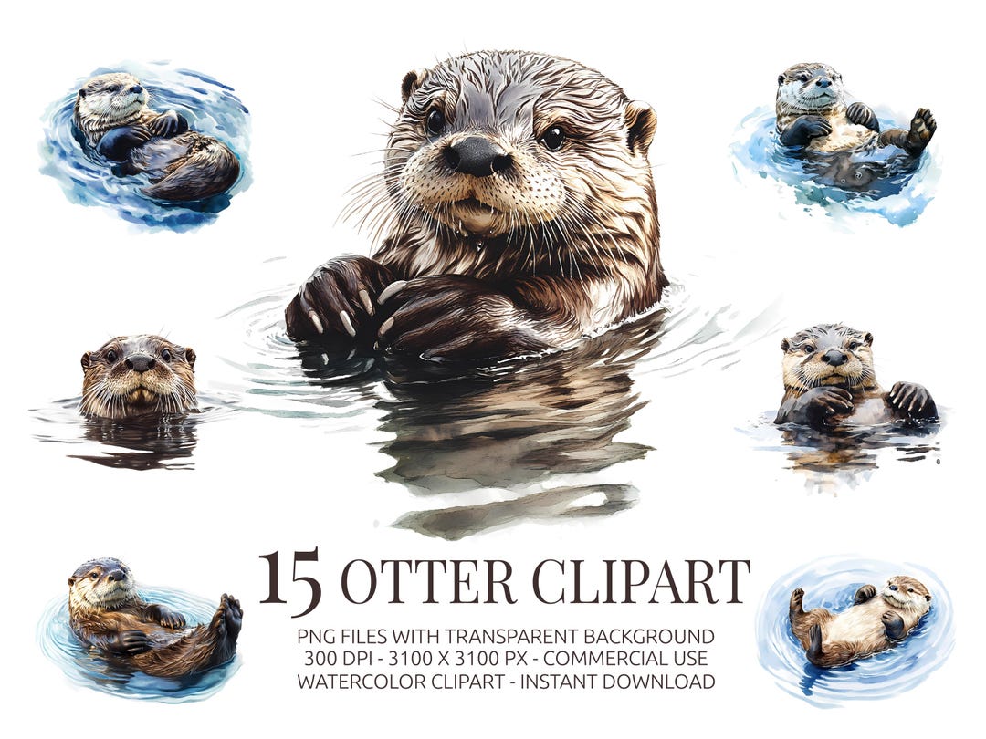 Otter Clipart Bundle - 15 Watercolor Pngs of Cute Otters Swimming ...