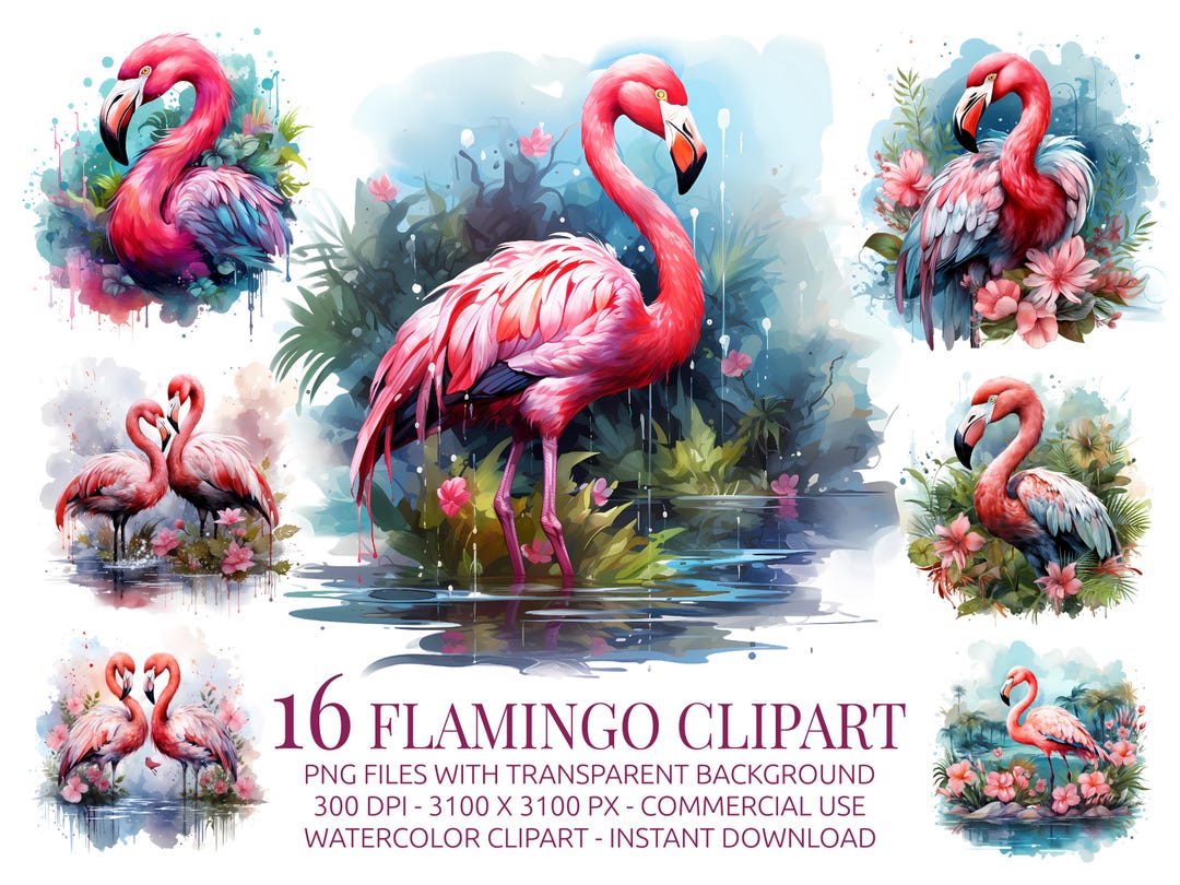Watercolor Flamingo Clipart – 16 Tropical Bird Pngs With Flowers ...