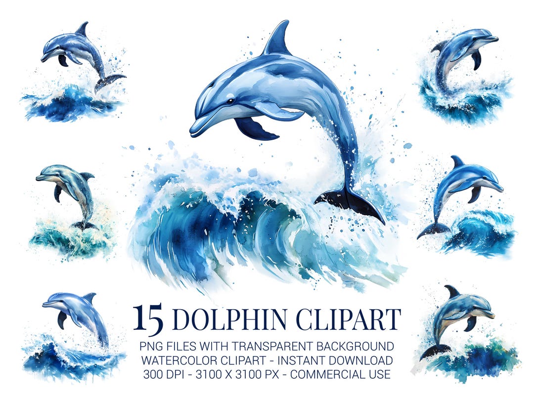 Dolphin Clipart Bundle - 15 Watercolor Ocean Dolphins PNG for Beach ...