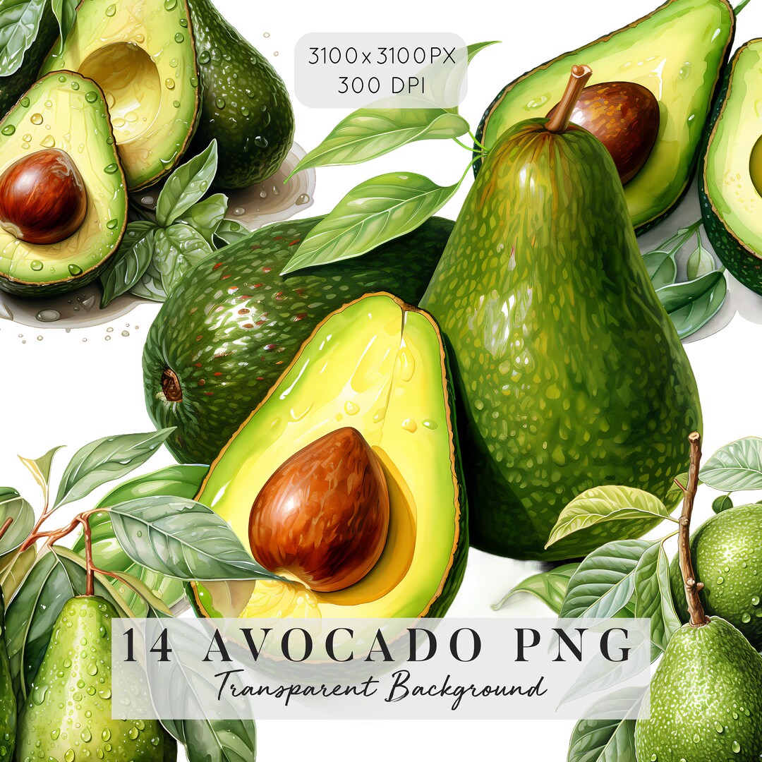 14 Avocado Clipart, Watercolor Avocado With Transparent Background, PNG ...