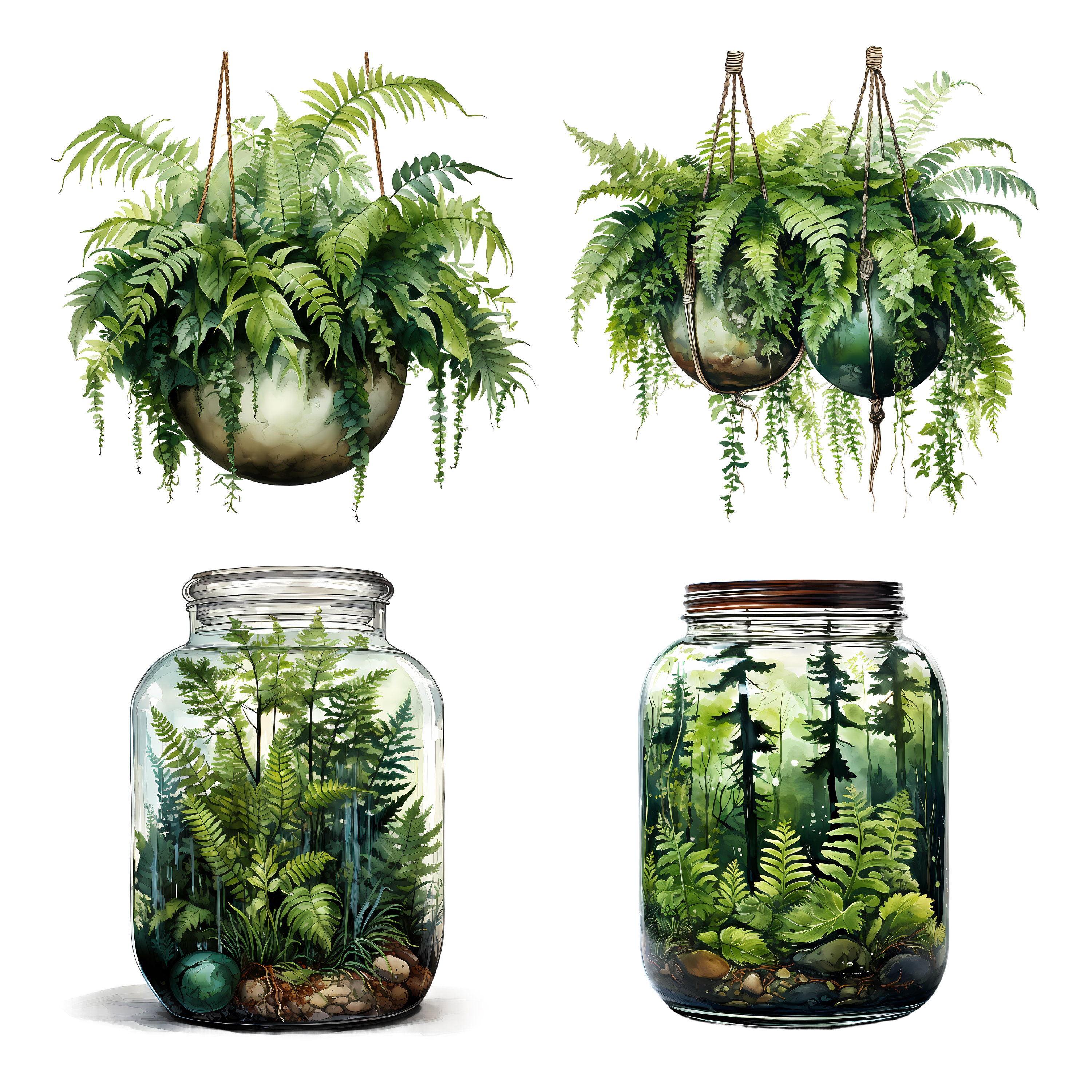 19 Ferns Clipart, PNG With Transparent Background, House Plant Potted ...