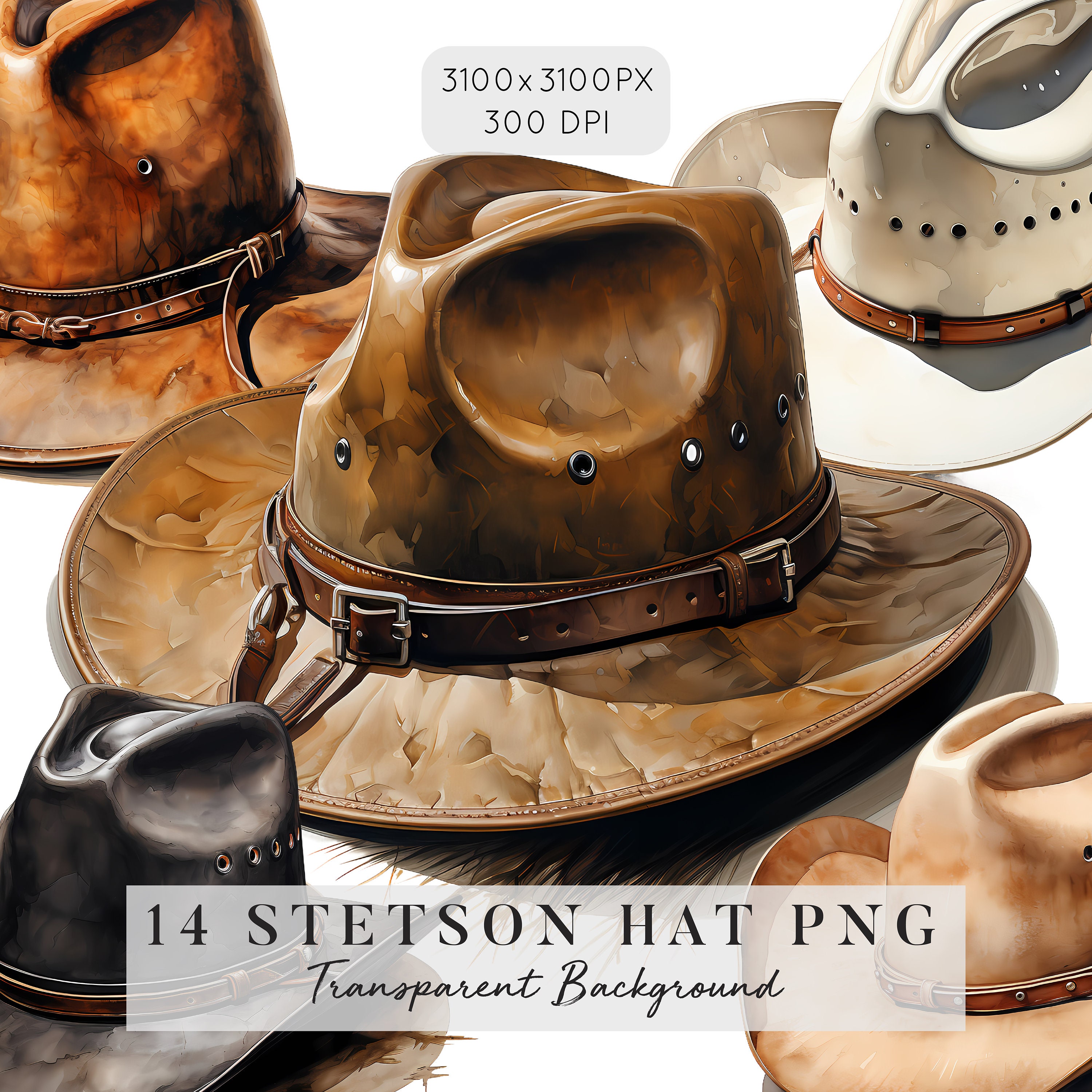14 Stetson Hat Clipart Watercolor Stetson Hat With - Etsy