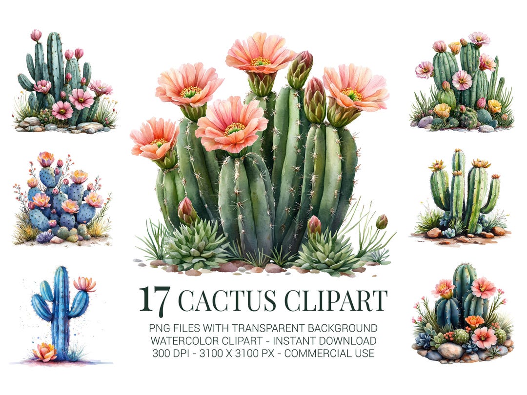 Watercolor Cactus Clipart Bundle: Blooming Cacti & Succulents (PNG ...