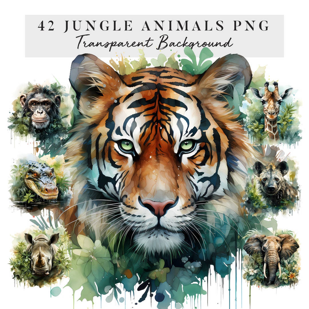 42 Jungle Animals Watercolor Clipart Set, Safari Clipart, Jungle ...