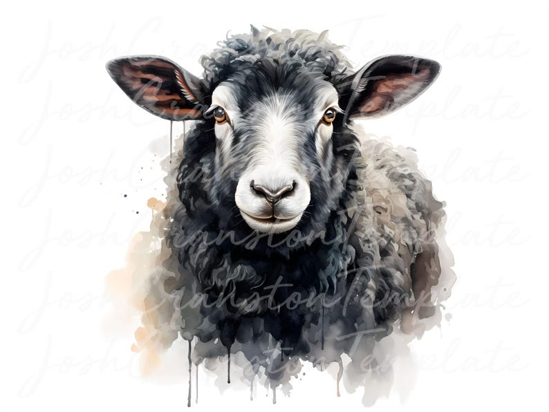 Watercolor Sheep Clipart Bundle, Rustic Farm Animals, Nursery Art ...
