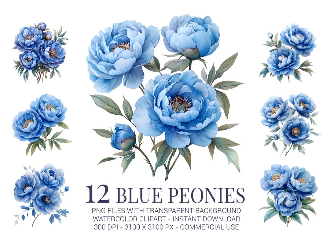 Blue Peonies Clipart Set, 12 Watercolor Blue Peony Flowers Pngs With ...