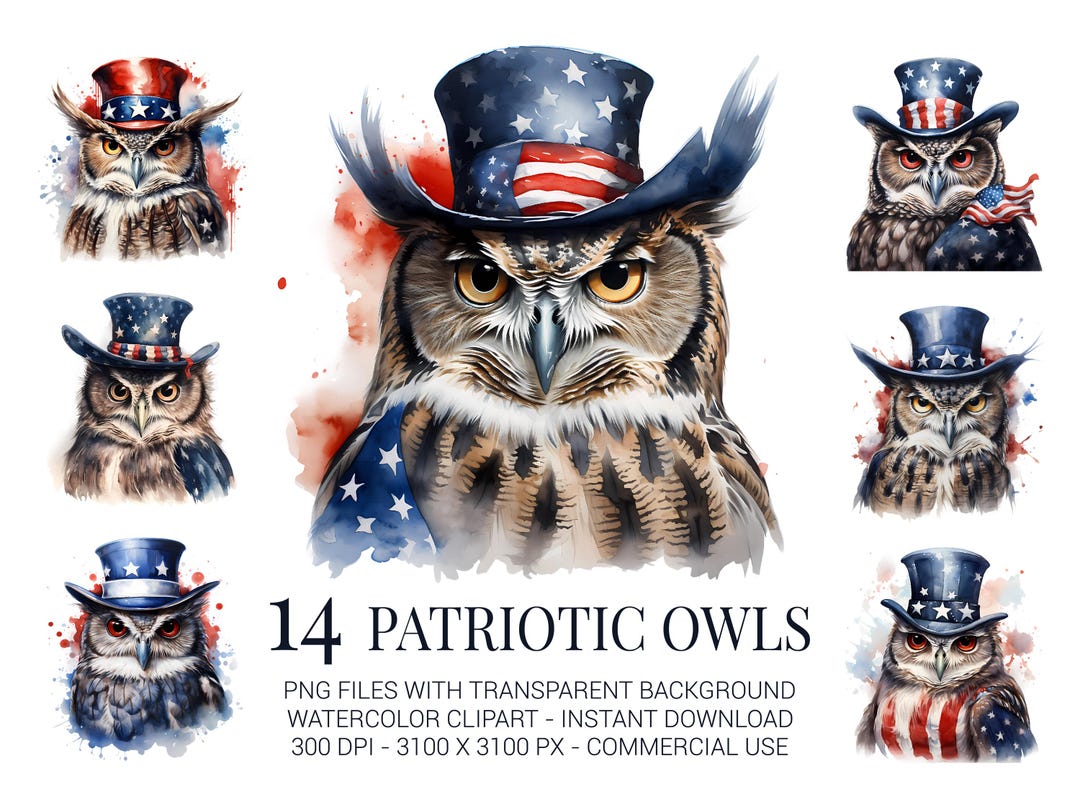 Patriotic Owls Clipart, 14 Independence Day Watercolor Owl Pngs With ...