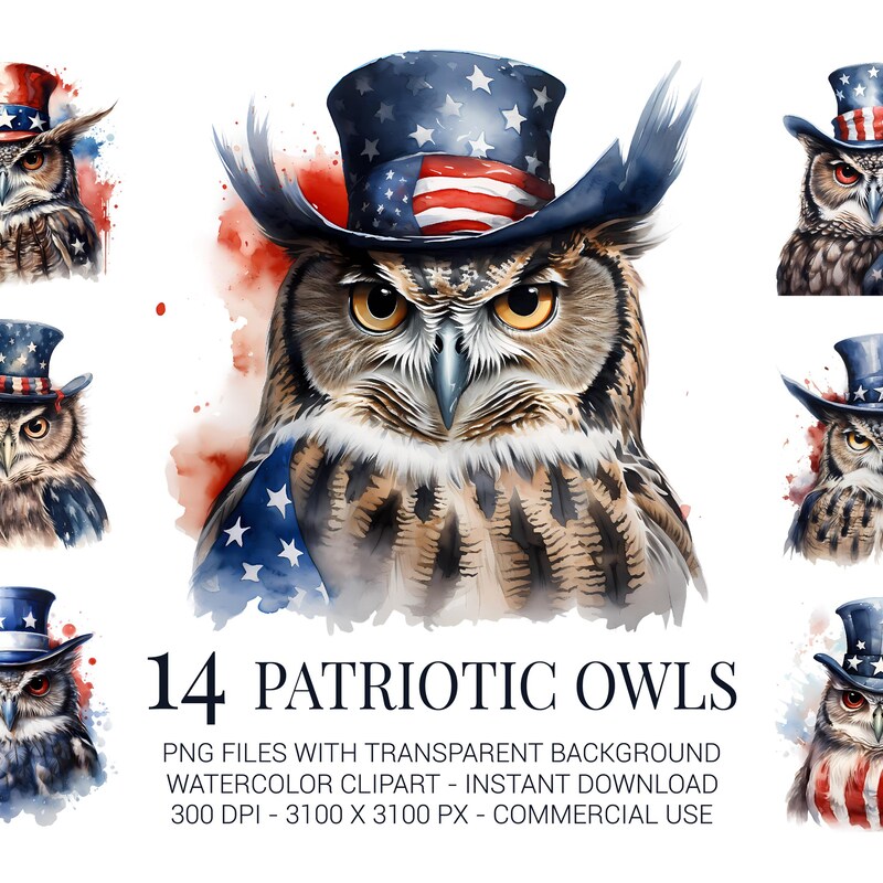 Patriotic Owl - Etsy