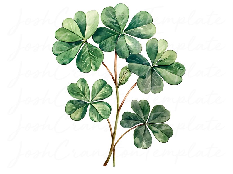 12 Watercolor Shamrock Clipart, St. Patrick's Day Digital Download ...