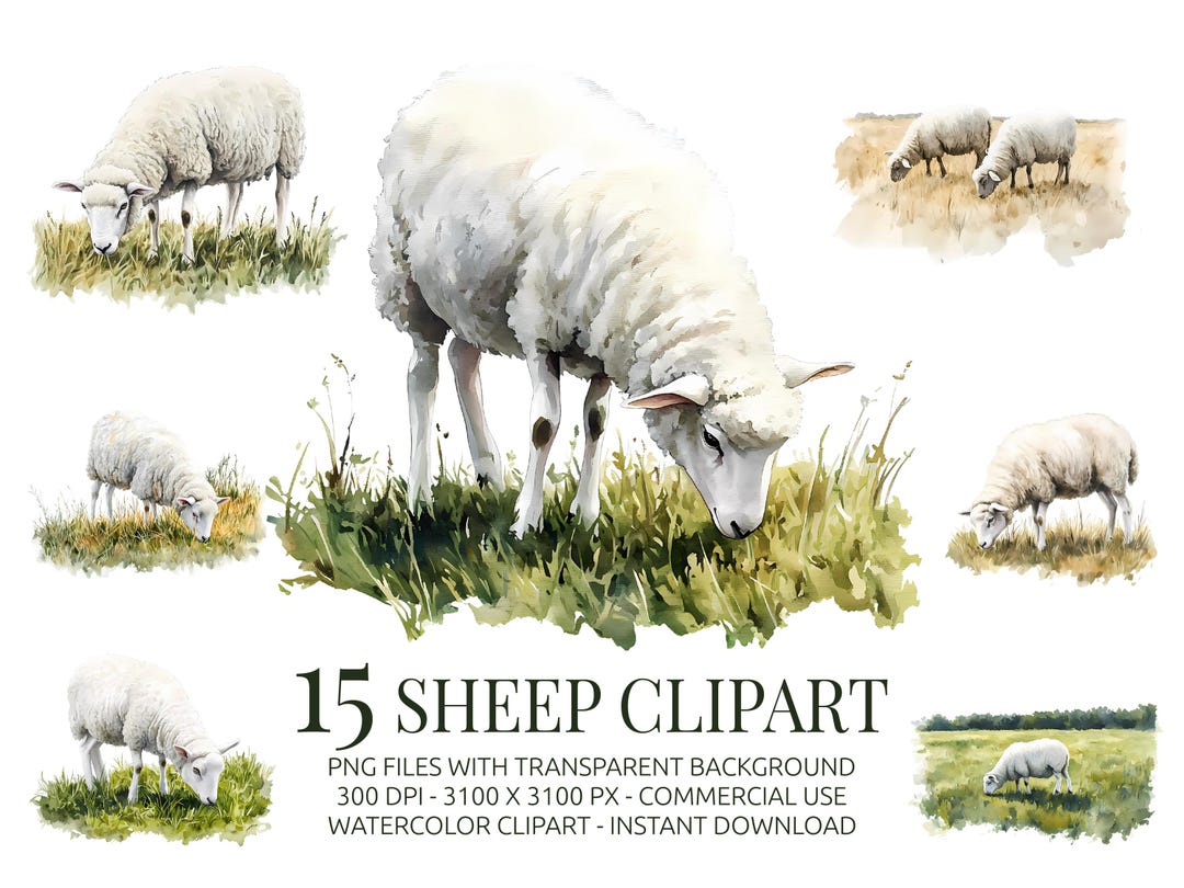 Sheep Clipart Set - 15 Watercolor Grazing Sheep Pngs on Grass Fields ...