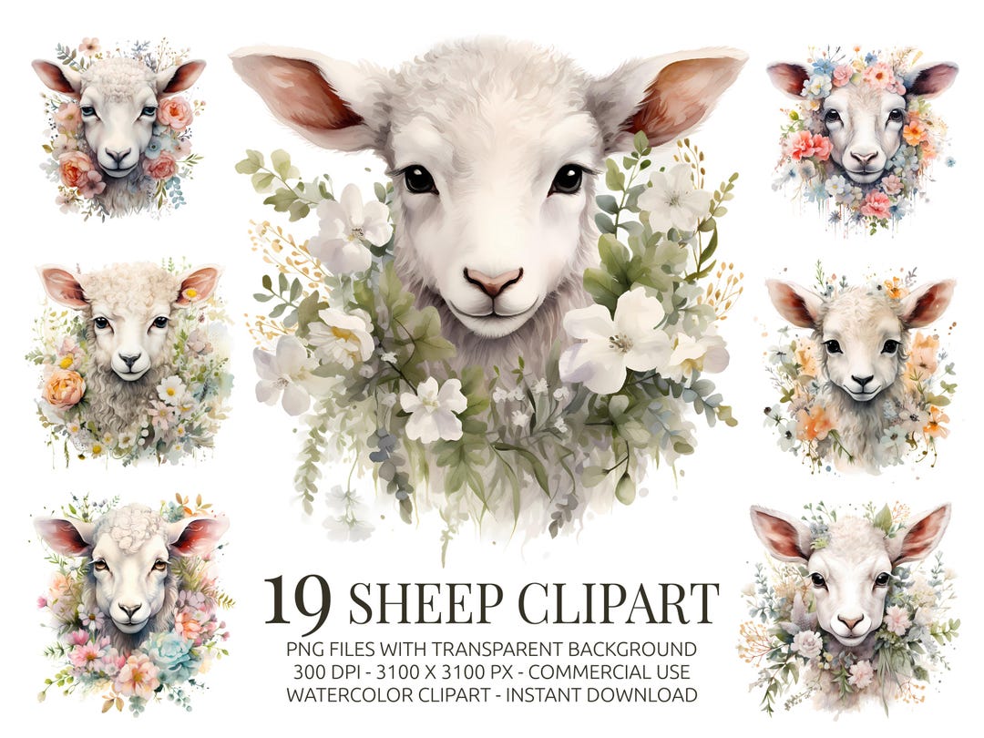 Sheep Clipart Bundle - 19 Watercolor Lamb Pngs With Soft Florals - Cute ...