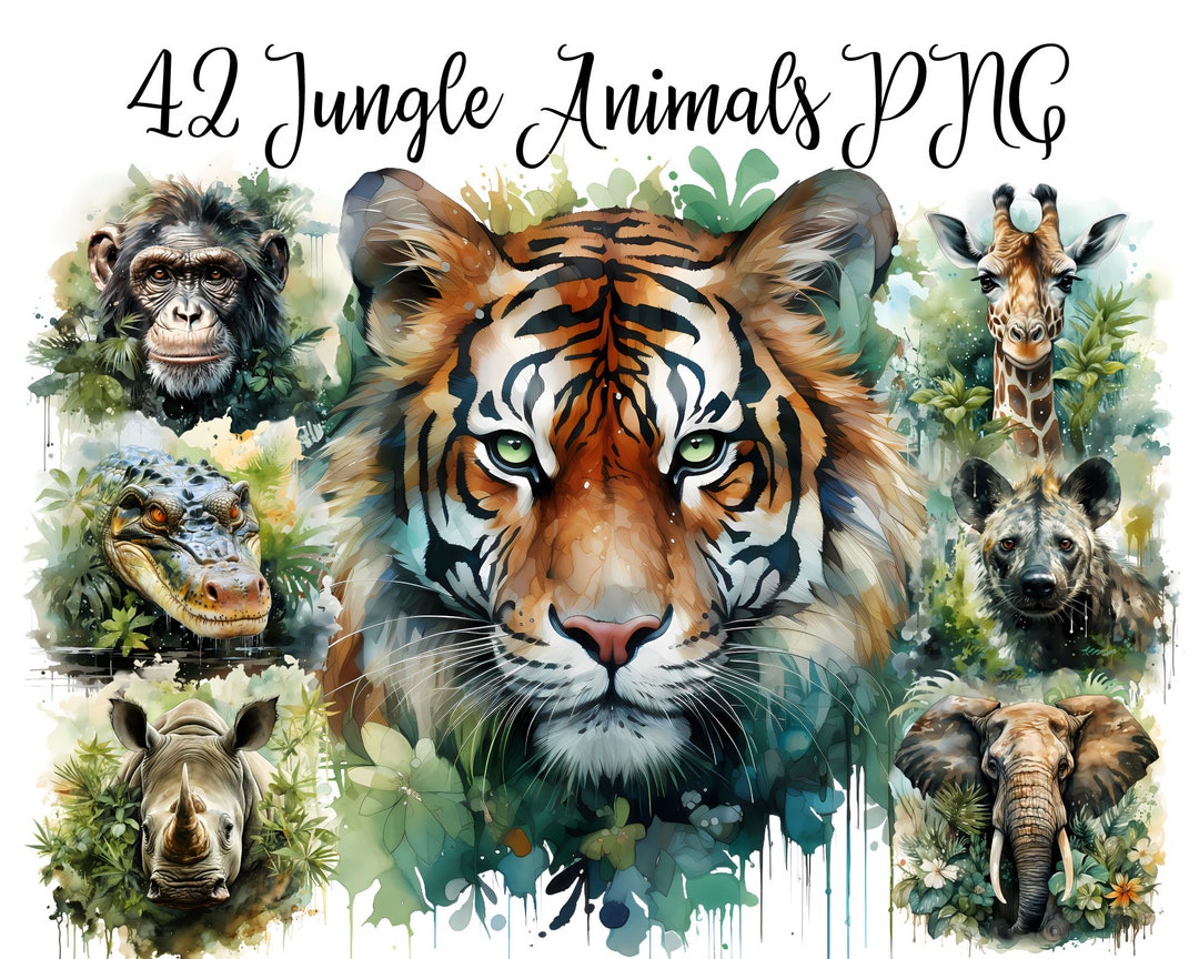 Jungle Animals Clipart Set Safari Chimpanzee Crocodile - Etsy