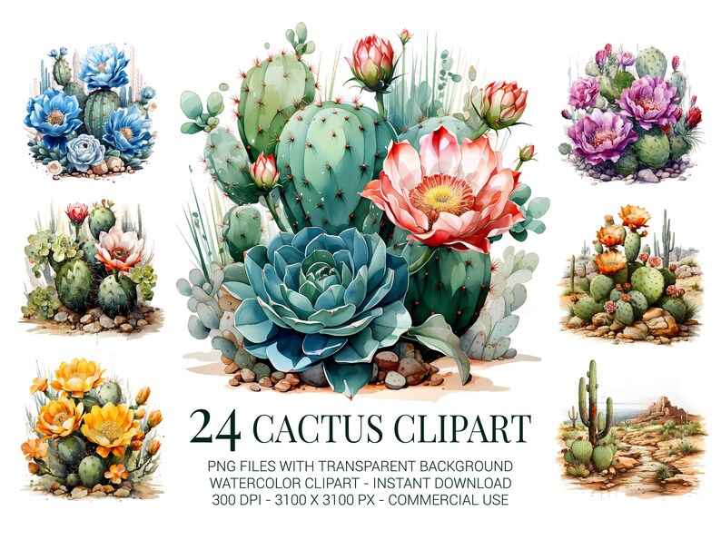Cactus Clipart Set, 24 Colorful Watercolor Cactus Pngs With Flowers ...