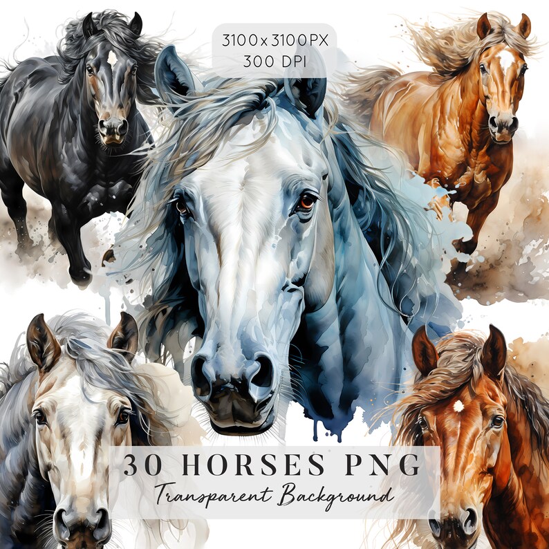30 Horse Clipart With Transparent Background PNG, Watercolor Horse ...