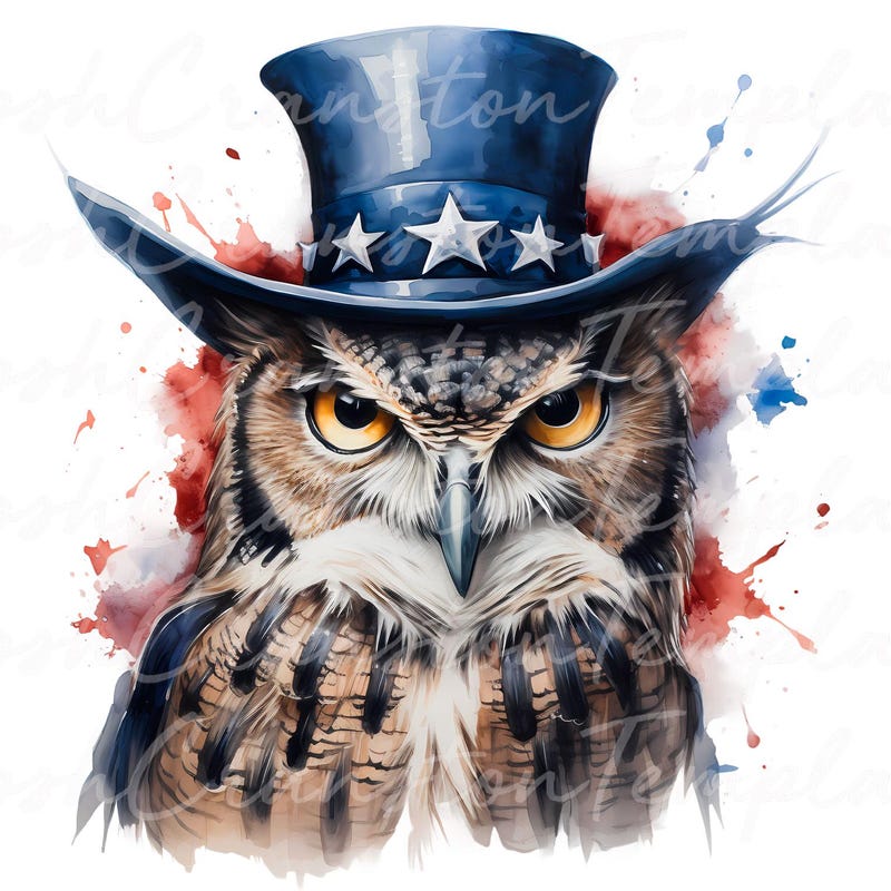 Patriotic Owl - Etsy