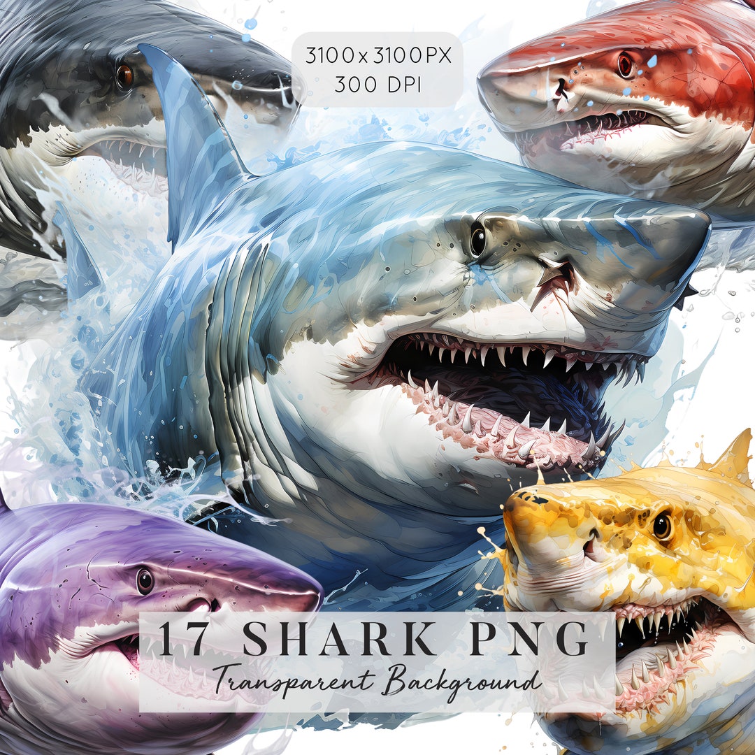 17 Shark Clipart, Watercolor Shark With Transparent Background PNG, Sea ...