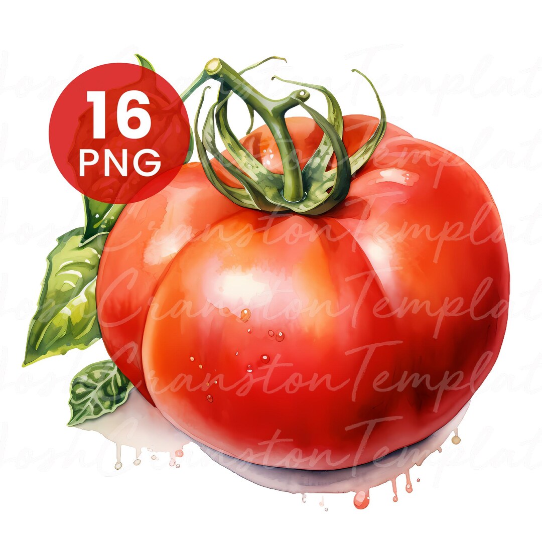 Watercolor Tomato Clipart: 16 Pngs for Junk Journals (digital Download ...