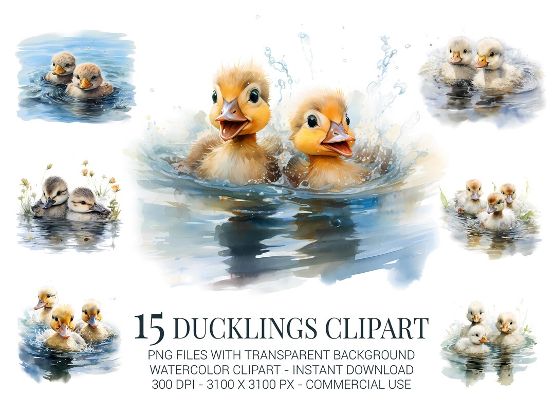 Watercolor Duckling Clipart Bundle - 15 Baby Ducks PNG - Cute Duck Art ...