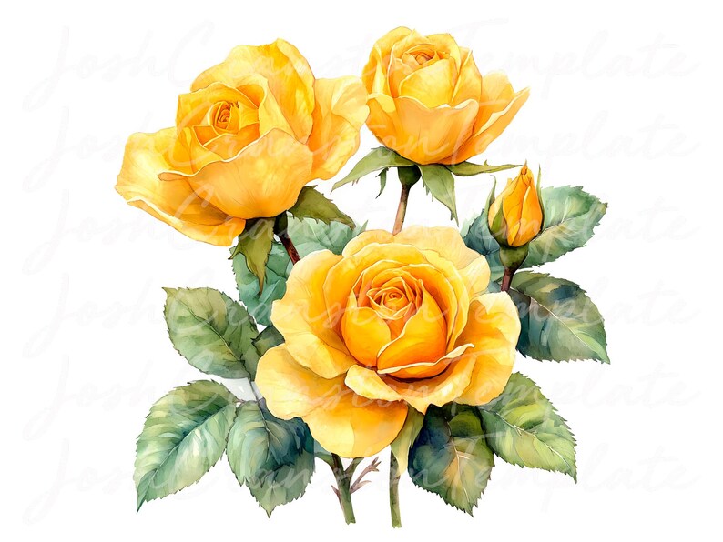 12 Watercolor Yellow Roses Clipart, Digital Spring Floral Graphic ...