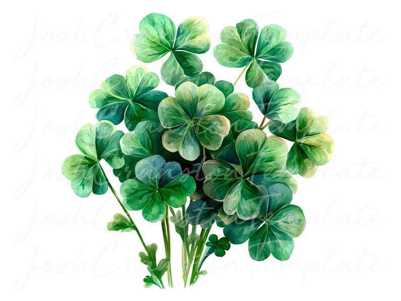 12 Watercolor Shamrock Clipart, St. Patrick's Day Digital Download ...