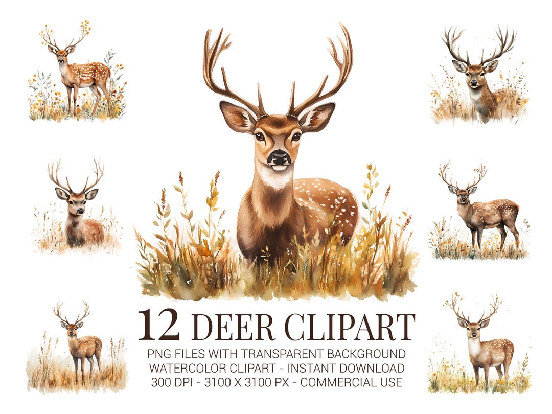 Deer Clipart Set - 12 Watercolor Deer PNG With Autumn Grass, Realistic ...