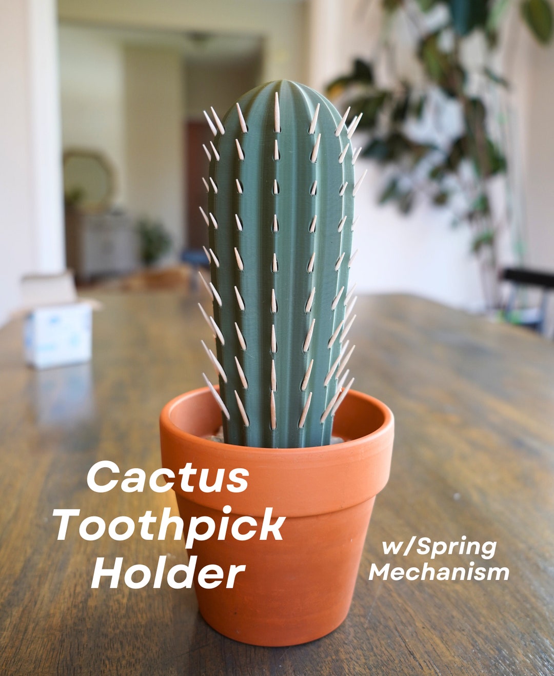 Cactus Toothpick Dispenser House Plant | Cacti Houseplant Hold 117 ...