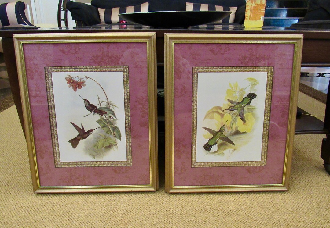 Set of Two Hummingbird Framed Art Prints, Antique Hummingbird Art ...