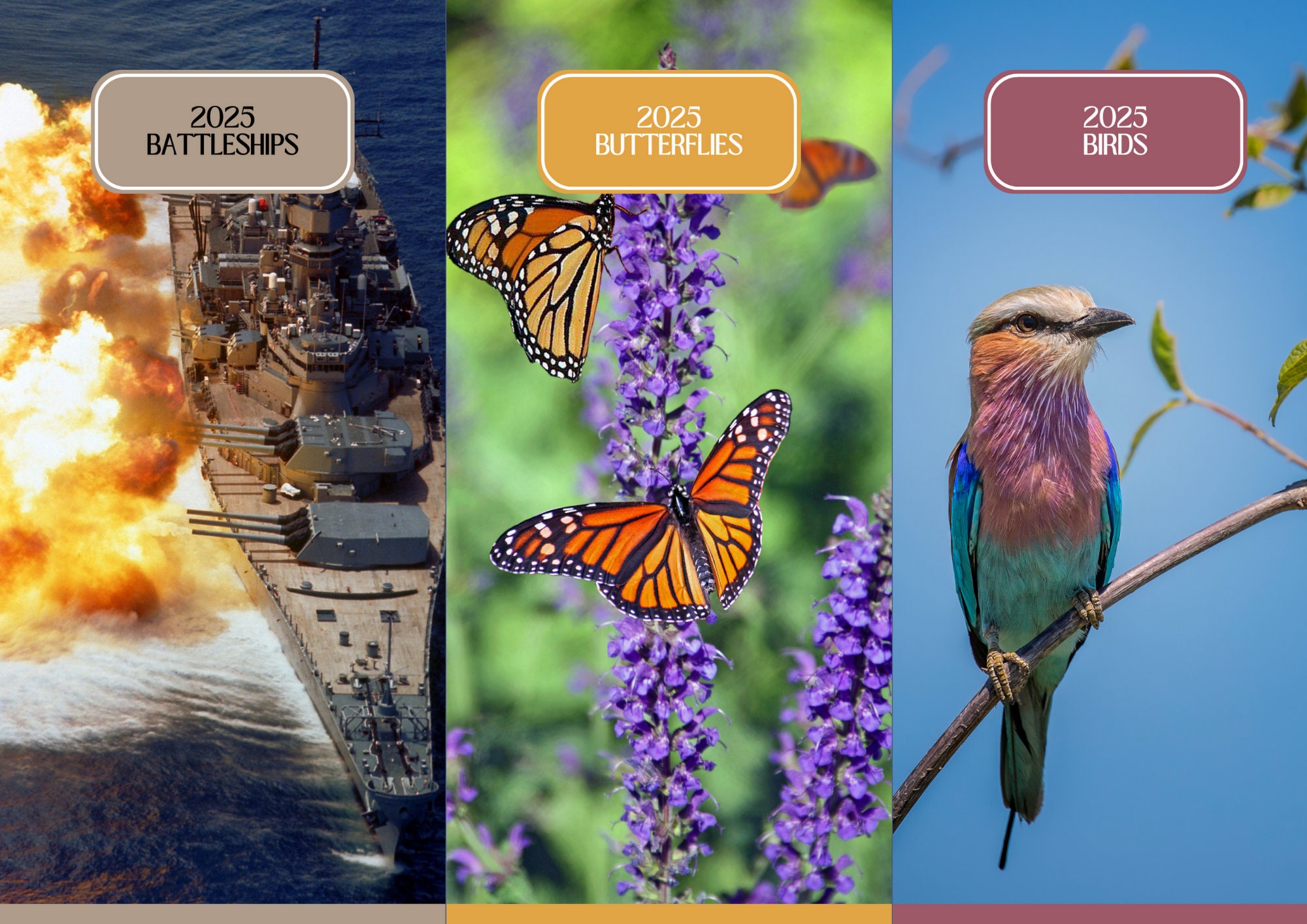 2025 A4 Calendar Planner Wire Bound, Vintage VW Campervan, Horses ...