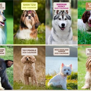 2025 Dog Calendars A4 Size (40 Dogs Breeds to Choose From) - Etsy