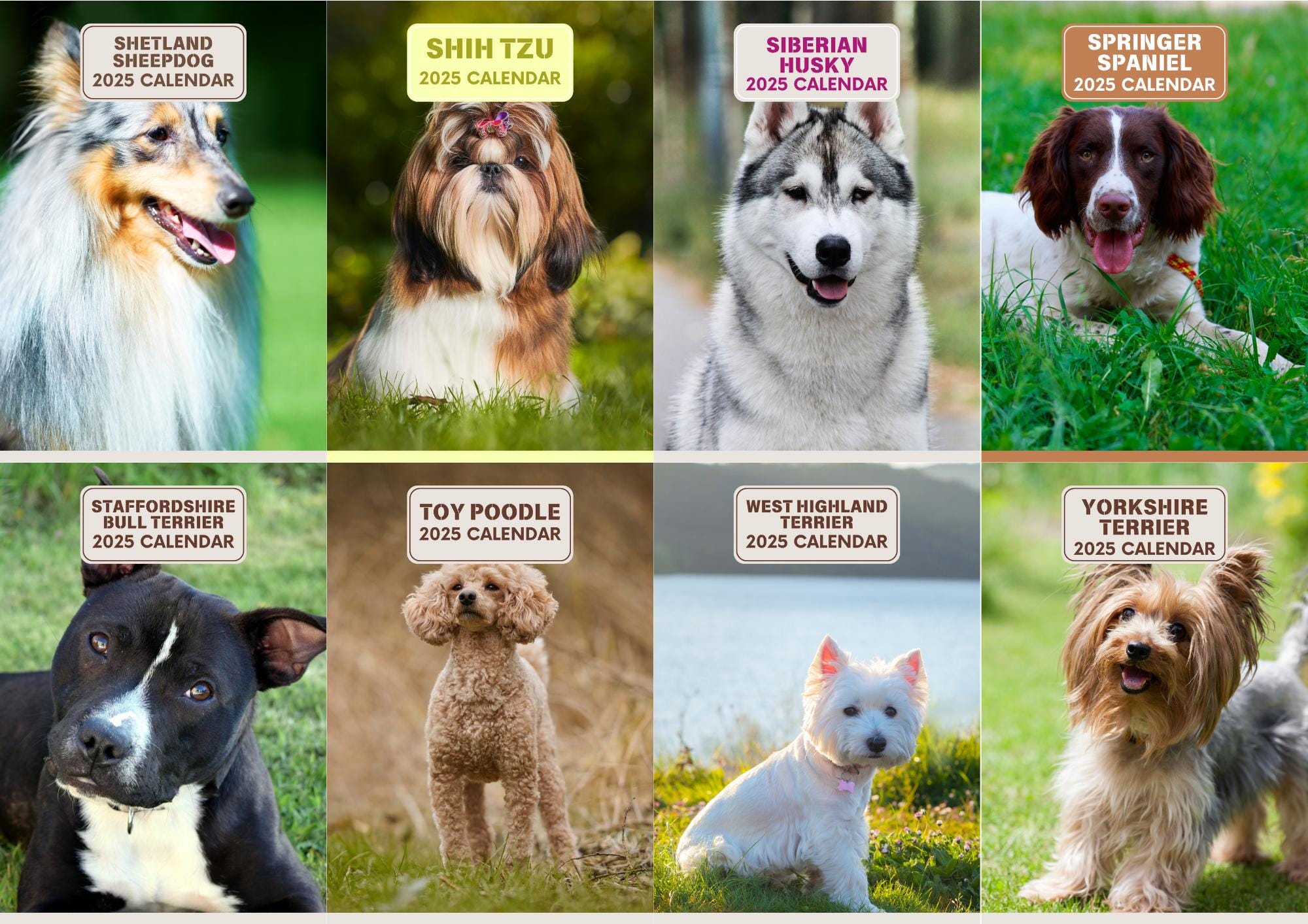 2025 Dog Calendars A4 Size (40 Dogs Breeds to Choose From) - Etsy