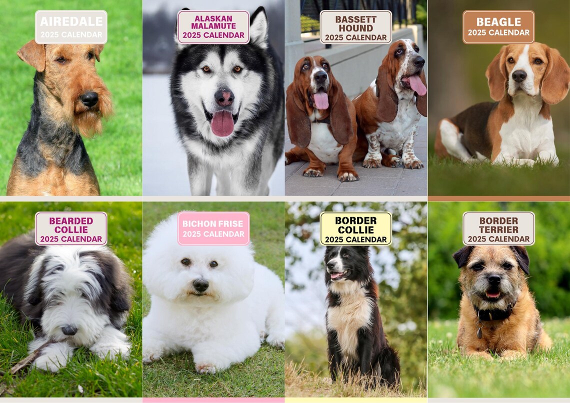 2025 Dog Calendars A4 Size (40 Dogs Breeds to Choose From) - Etsy