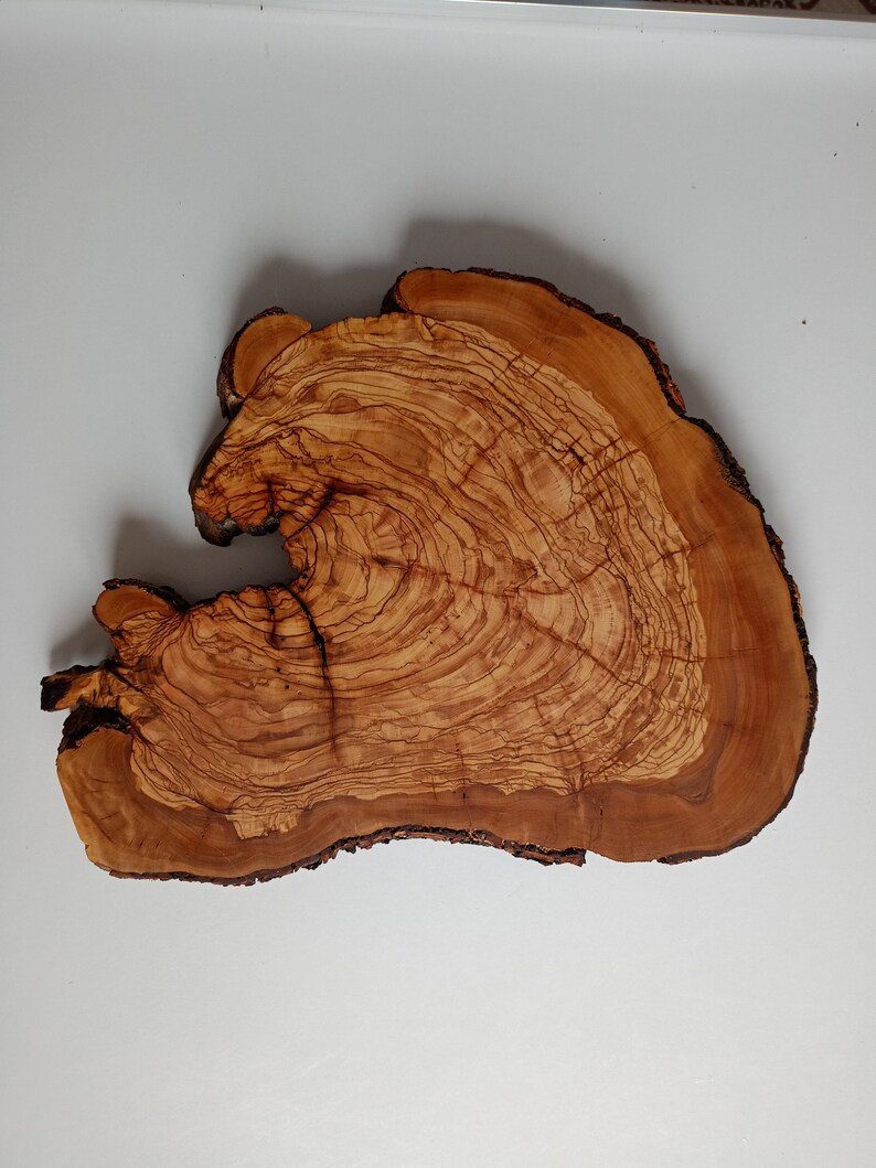 Olive Wood Slabs for DIY Wood Art Live Edge Wood Slab Raw Edge Wood ...