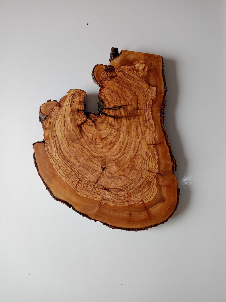Olive Wood Slabs for DIY Wood Art Live Edge Wood Slab Raw Edge Wood ...
