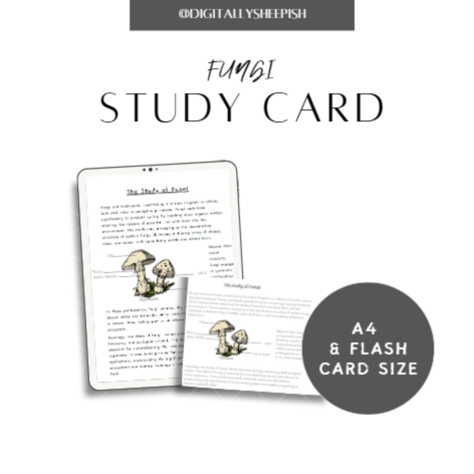 Fungi Study | Mushroom Anatomy Flashcard | Botany Study Guide | Plant ...