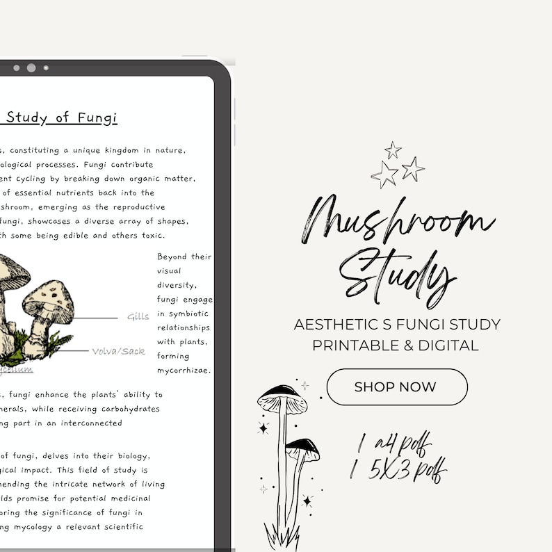 Fungi Study | Mushroom Anatomy Flashcard | Botany Study Guide | Plant ...